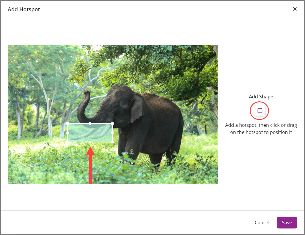 EchoPoll: Hotspot Questions – Support