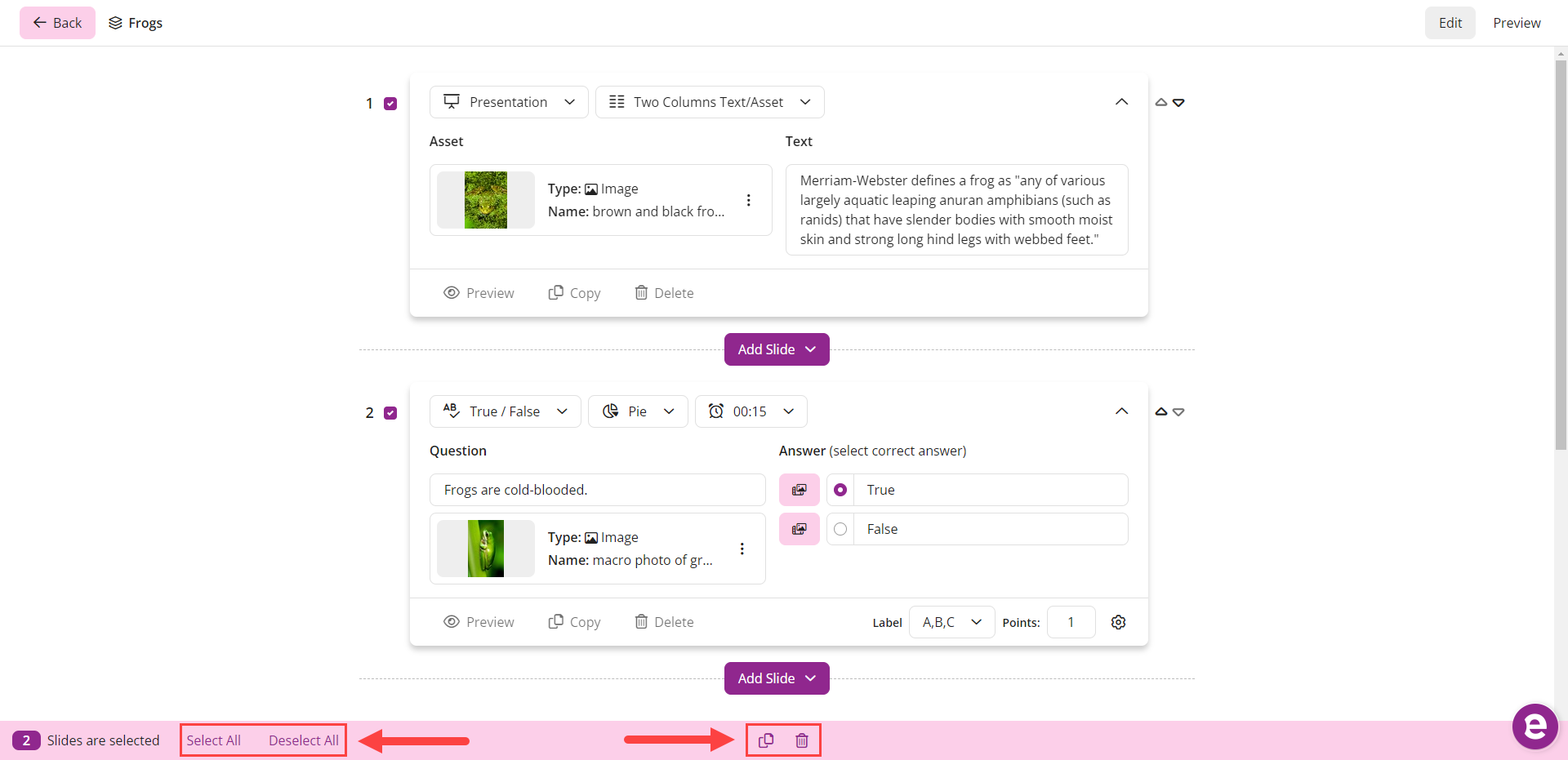 EchoPoll: Creating a Poll Deck With Echo.ai Assist – Support